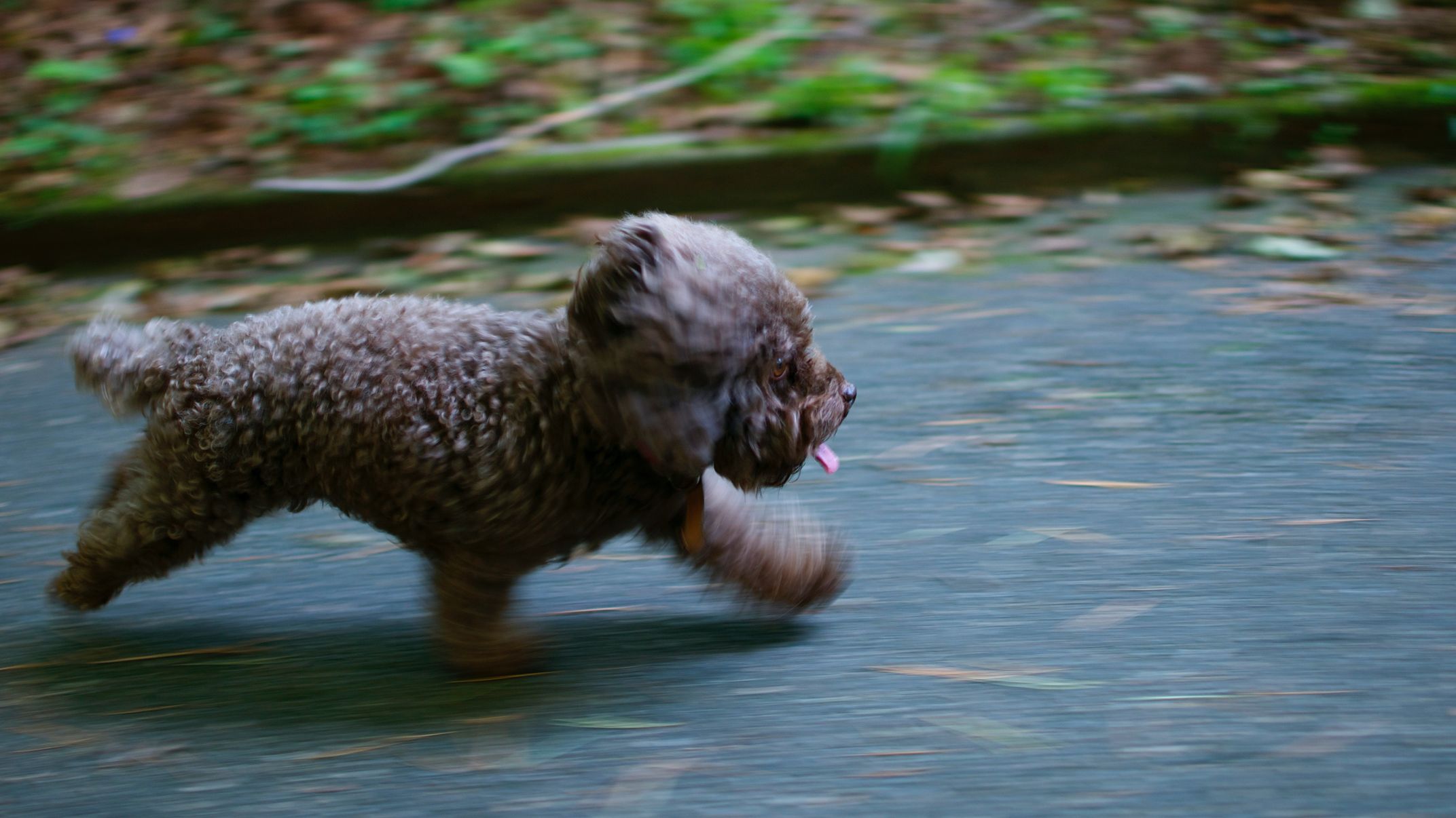 Welcome to Wowchemy, the website builder for Hugo | Maruti Pai